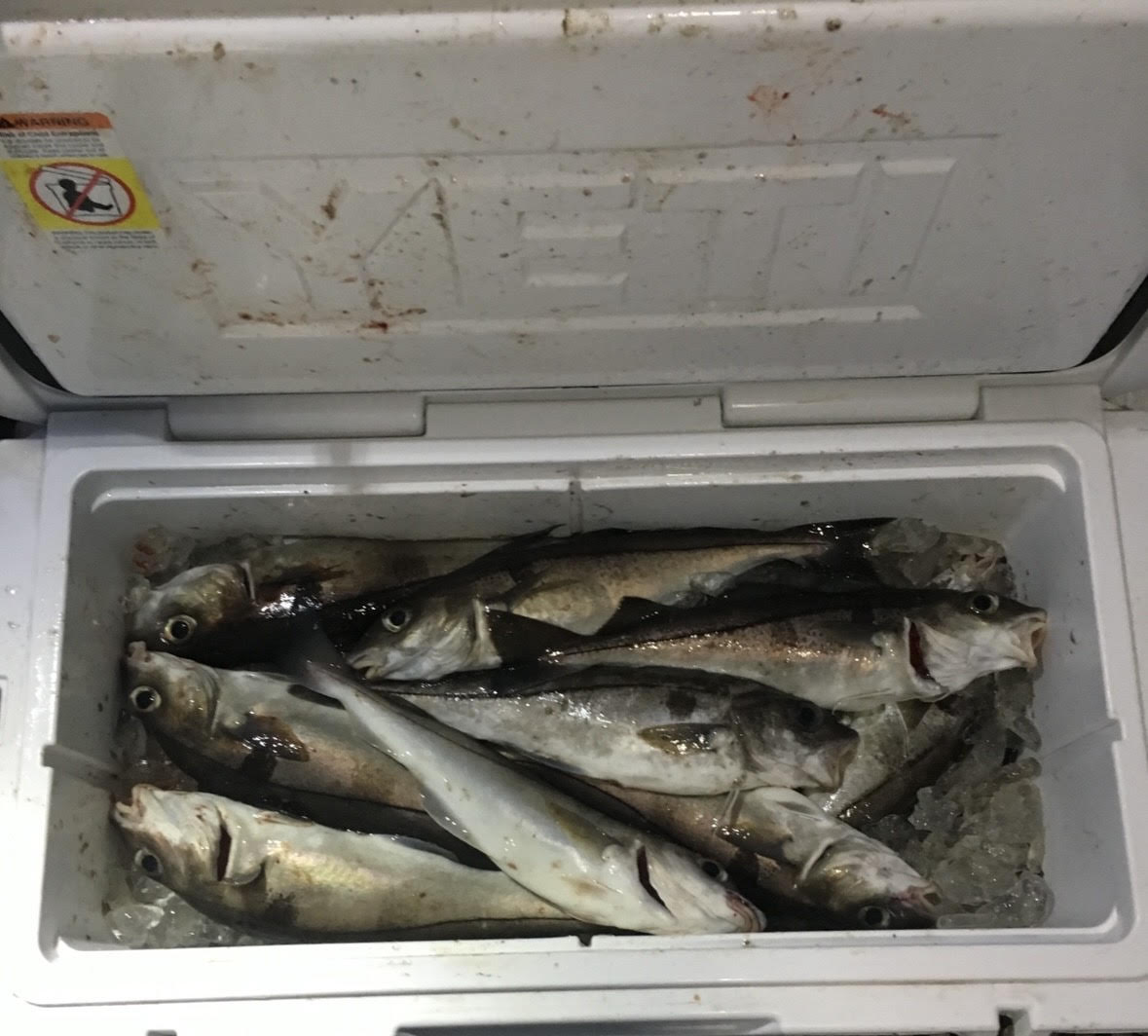 Deep Sea - Hooked on Fish Charters